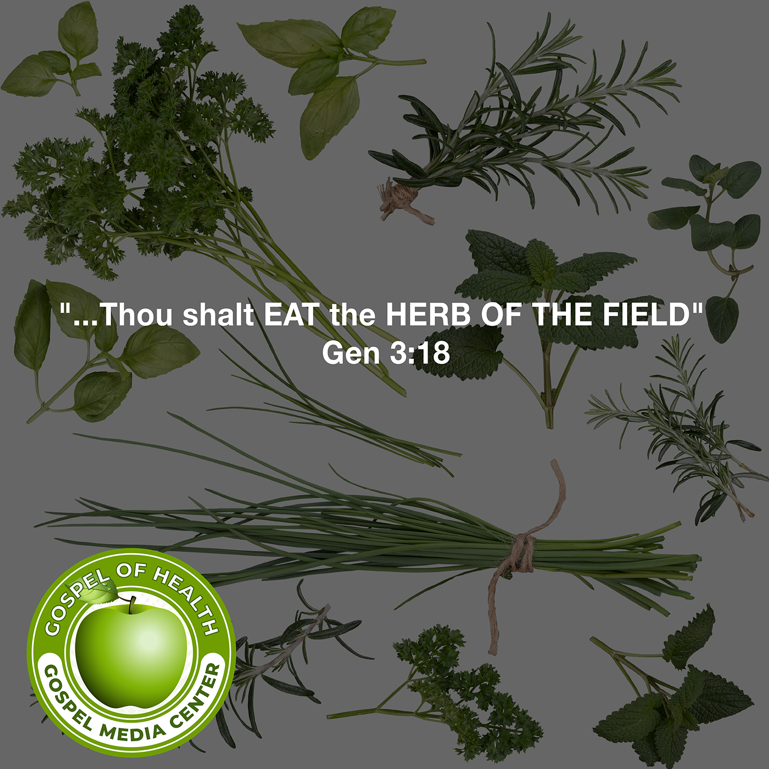 Gospel of HealthGOH-Gallery